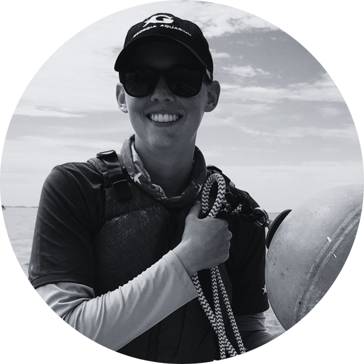 About – Protect Marine Wildlife
