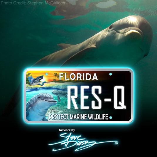 Order – Protect Marine Wildlife